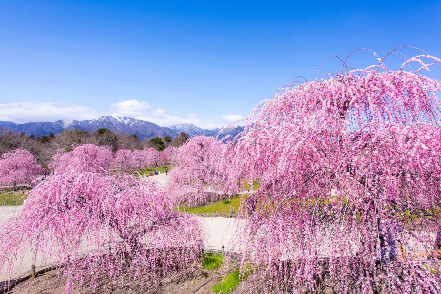 Japan Travel Specialists from Singapore | Custom Tours & Packages ...