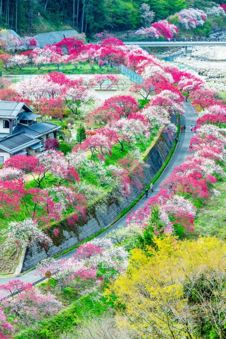 Japan Travel Specialists from Singapore | Custom Tours & Packages ...