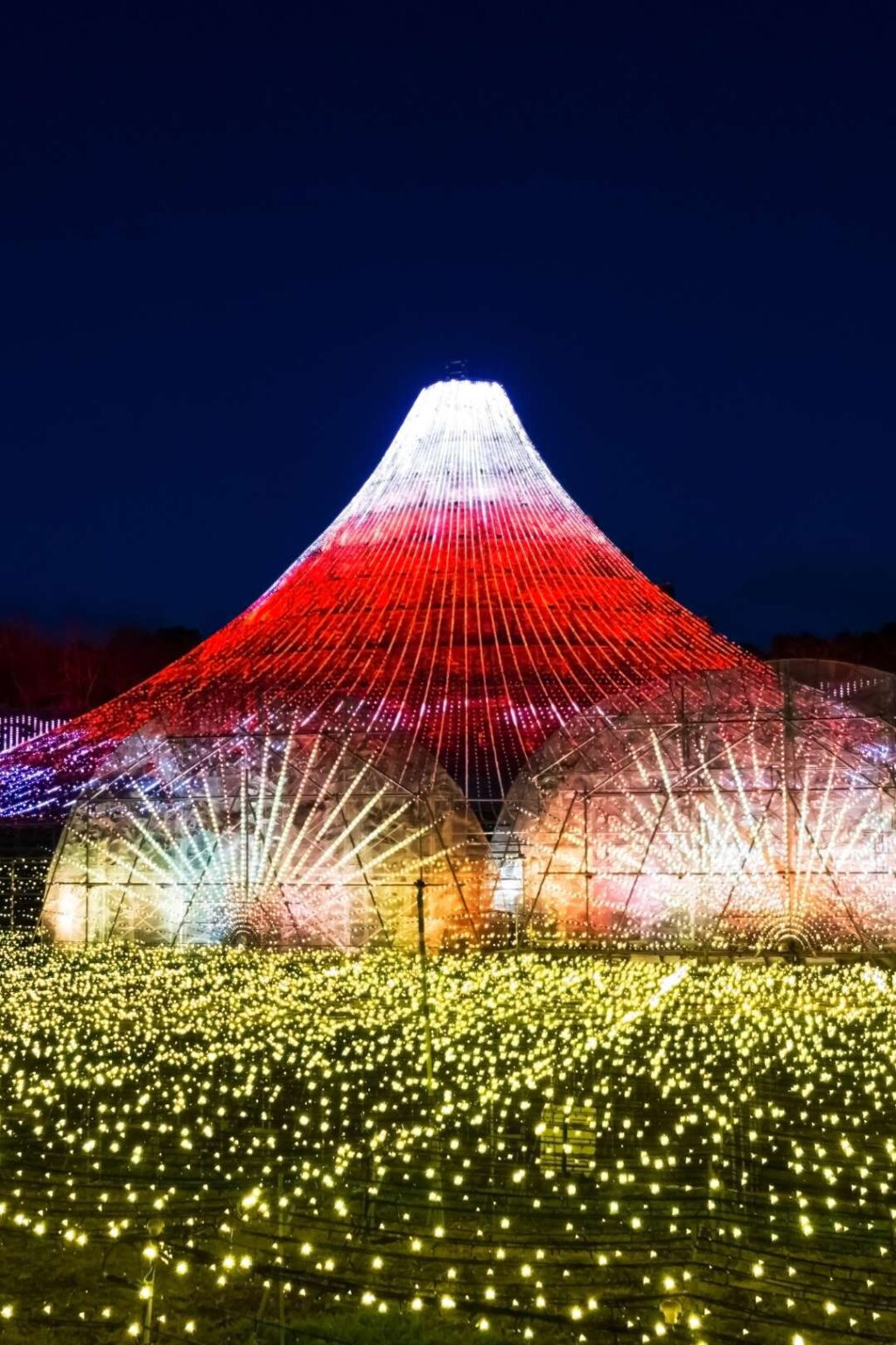 Follow Me Japan: Specialists in Japan Travel