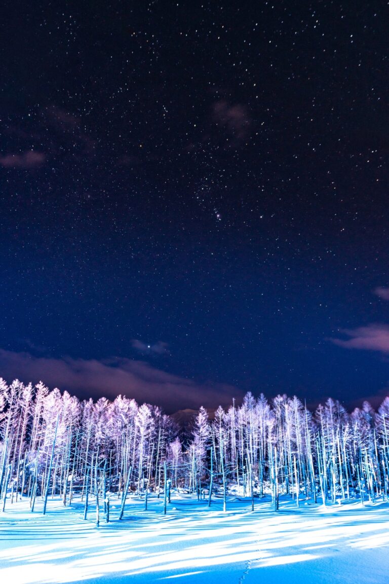 Japan Travel Specialists from Singapore | Custom Tours & Packages ...